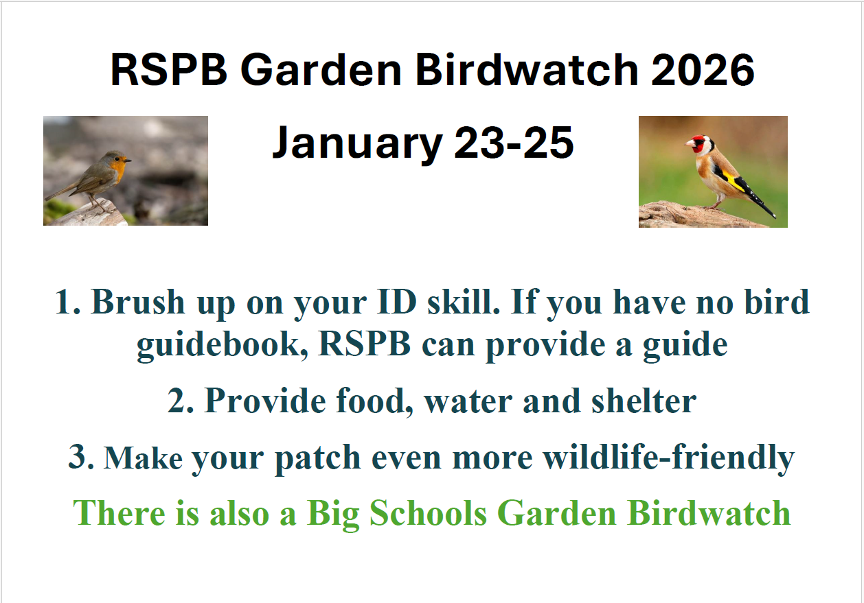 RSPB Big Garden Birdwatch 2026 January 23-25 – Toll Gavel United Church ...